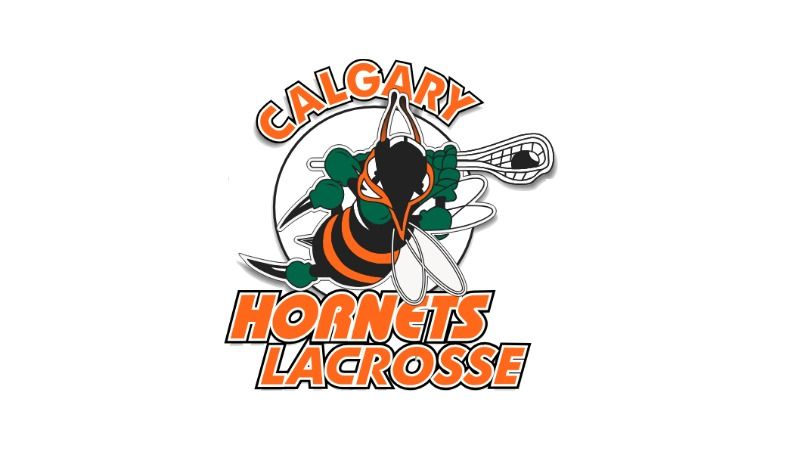 Calgary Hornets Lacrosse | Homeschool Hall Homeschool Athletics