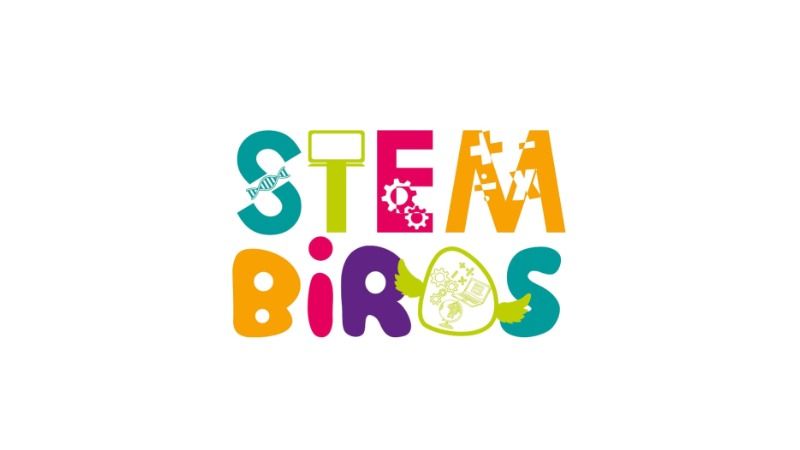 STEM Birds | Homeschool Hall Clubs